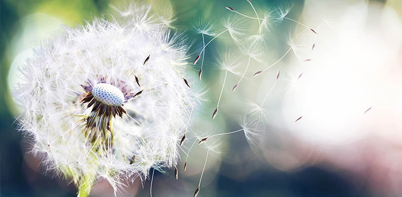 Enable – Providing solutions for a sustainable transformation everywhere