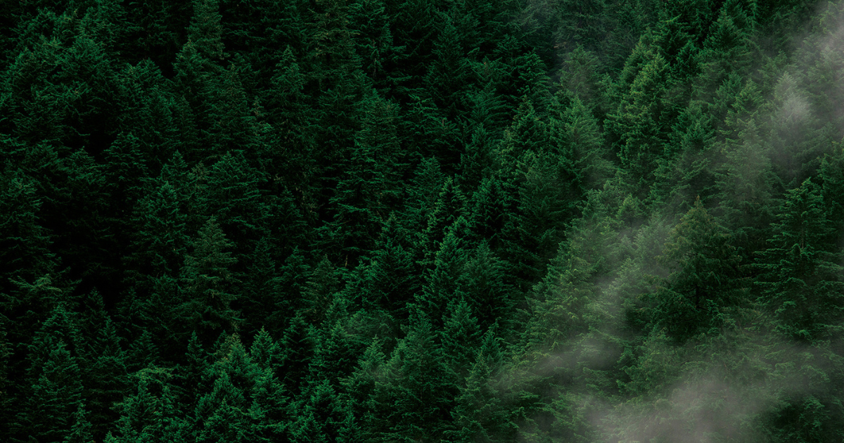 Traceable Mass Balance