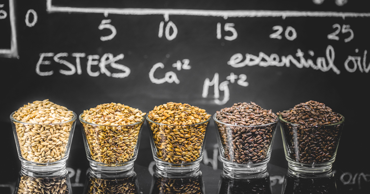 International beer day: chemistry and beer flavors