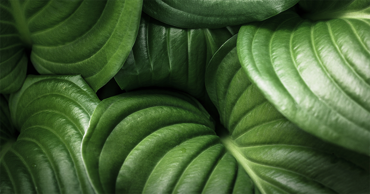 Contact Us - Perstorp Specialty Chemicals