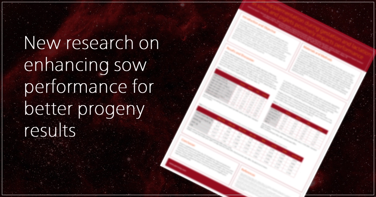 Enhancing sow performance for better progeny results