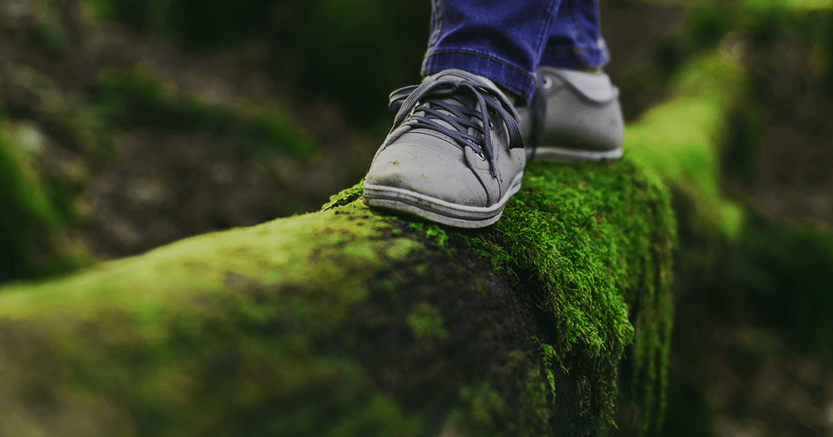 Achieving Scope 3 Targets with Perstorp’s Pro-Environment Solutions